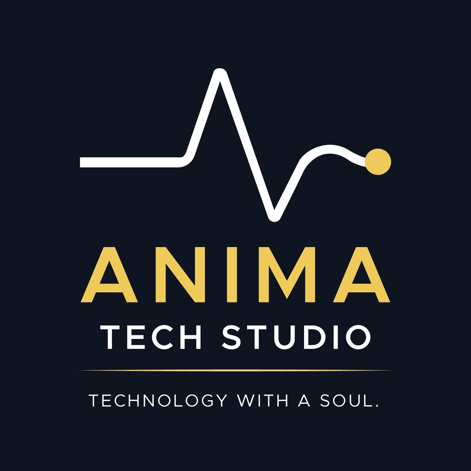 Custom CRM & Business Software for Dubai SMEs | ANIMA Tech Studio